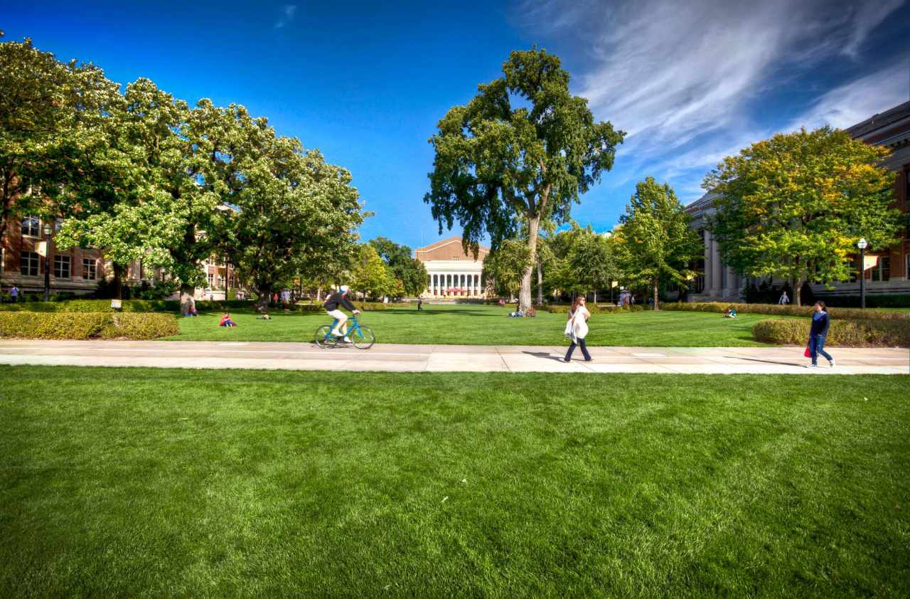 University Of Minnesota Twin Cities Campus